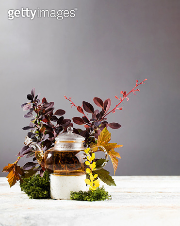 Teapot with brewed herbal tea on a podium surrounded by wild plants and ...