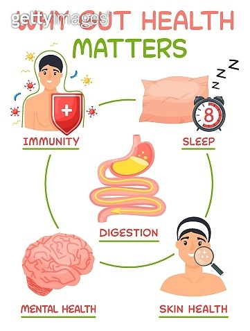 Why gut health matters. Editable vector illustration in modern cartoon ...