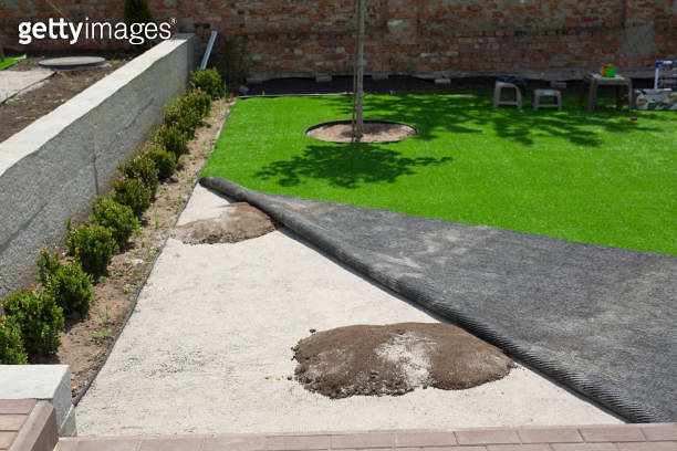 Mole hills under artificial turf in garden. Grass damage concept. 이미지 ...
