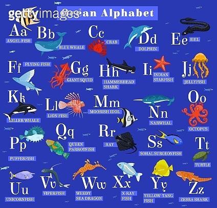Sea animals alphabet. ABC for children. Learning letters and nature ...