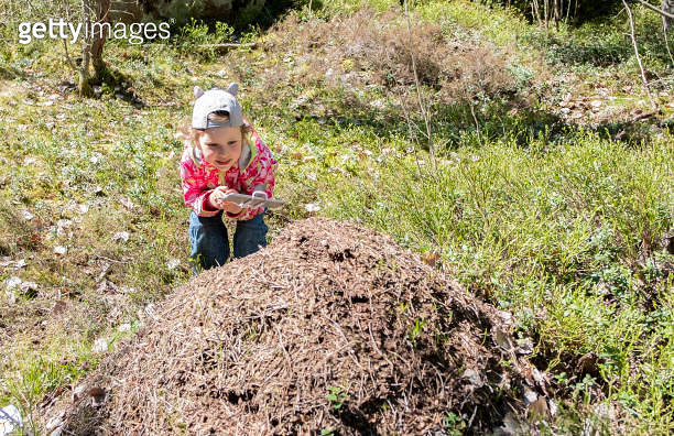 Child girl Caucasian 5 years old, shoot a video blog on a smartphone ...