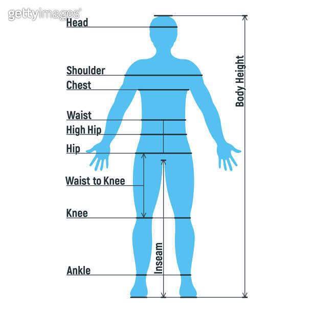 Male size chart anatomy human character, people dummy front and view ...