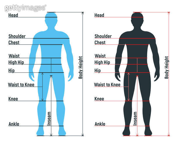 Male size chart anatomy human character, people dummy front and view ...
