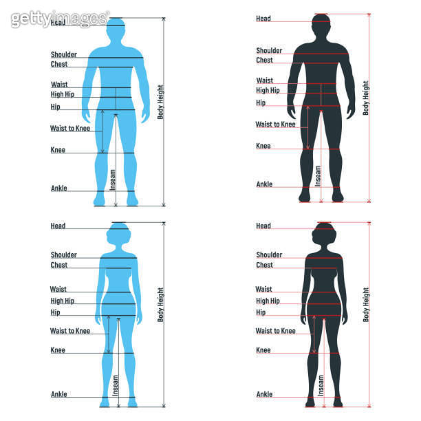 Female and male size chart anatomy human character, people dummy front ...