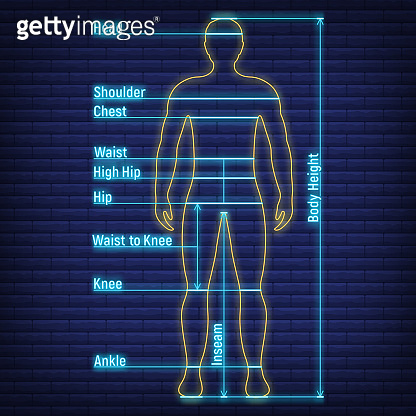 Female, male neon glow size chart anatomy human, people dummy front ...