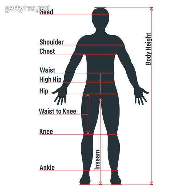 Male size chart anatomy human character, people dummy front and view ...