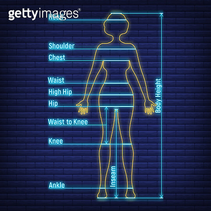 Female, male neon glow size chart anatomy human, people dummy front ...