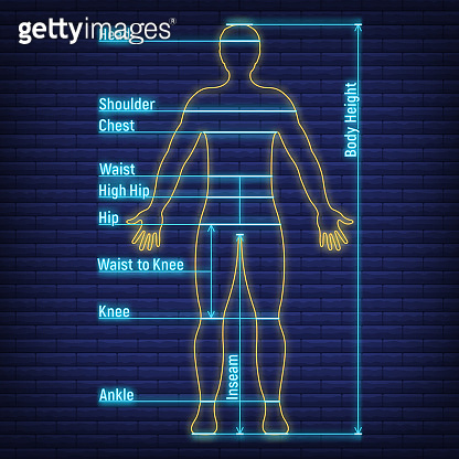 Female, male neon glow size chart anatomy human, people dummy front ...