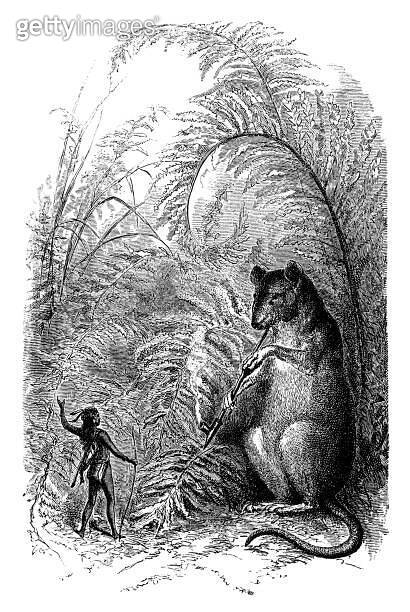 The hunter and the giant mouse 이미지 (1361579734) - 게티이미지뱅크