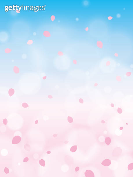 Fantastic background of fluttering cherry blossom petals [vertical] 이미지 ...