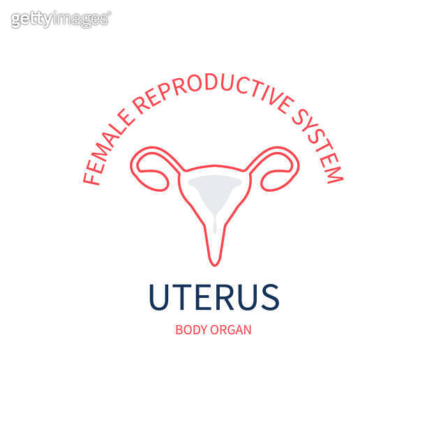 Uterus medical diagram of female reproductive system 이미지 (1325957713 ...