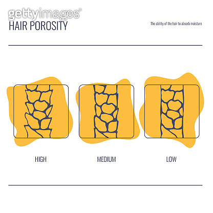 Hair porosity types chart of low, normal, high porous strand ...