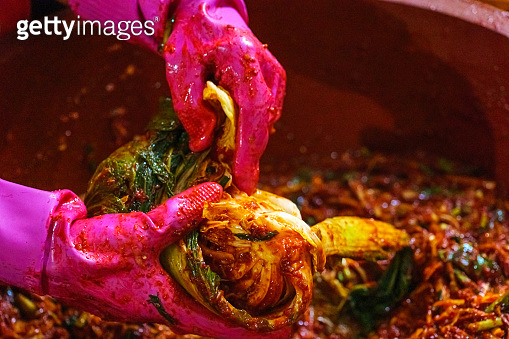 Gimjang, the Korean traditional process of preparation of kimchi ...