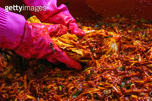 Gimjang, the Korean traditional process of preparation of kimchi 이미지 ...