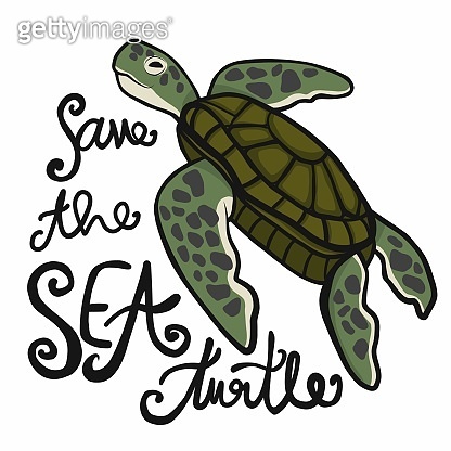 Save the sea turtle cartoon vector illustration 이미지 (1307866196) - 게티이미지뱅크