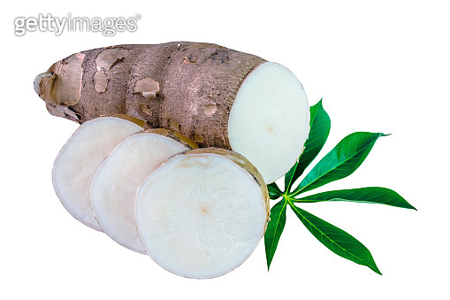 cassava tubers fresh on leaves isolated white, pile cassava manioc in ...