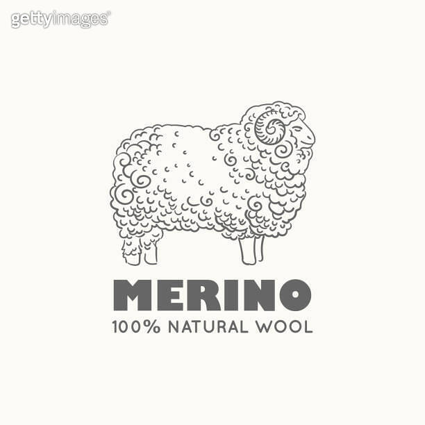 Merino natural wool vector sign 이미지 (1340005379) - 게티이미지뱅크