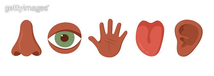 Five human senses organ set. Nose, ear, hand, tongue, eye. Sensory ...