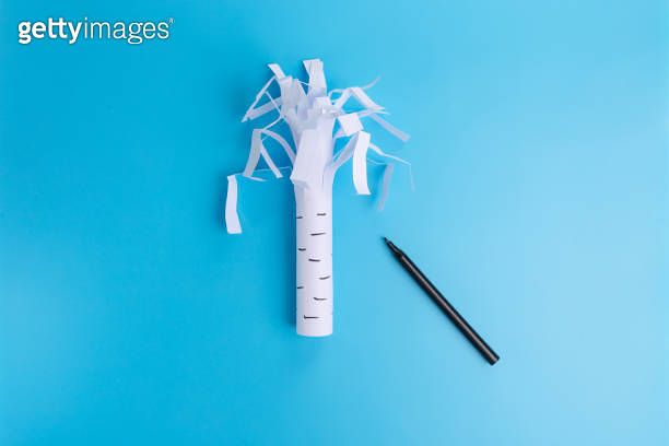 paper blank for craft birch, autumn activity for kids, step by step ...