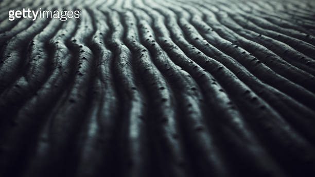 Whale Skin Leather Thick Bumpy Textile Flat Macro Texture Pattern ...