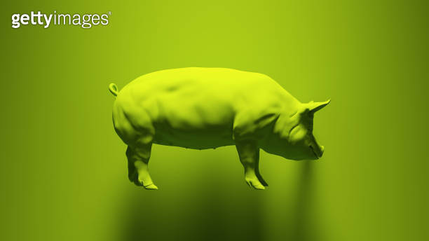 Bright Green Vibrant Pig Intelligent Animal 이미지 (1346682759) - 게티이미지뱅크