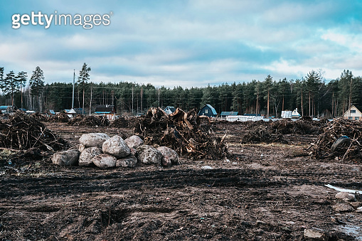 construction area with puddles and mud along the forest with piles of ...