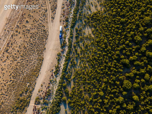 Mangrove beach and forest in Umm al Quwain emirate of the UAE 이미지 ...