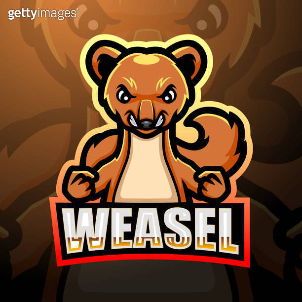 Weasel esport logo mascot design 이미지 (1316271116) - 게티이미지뱅크
