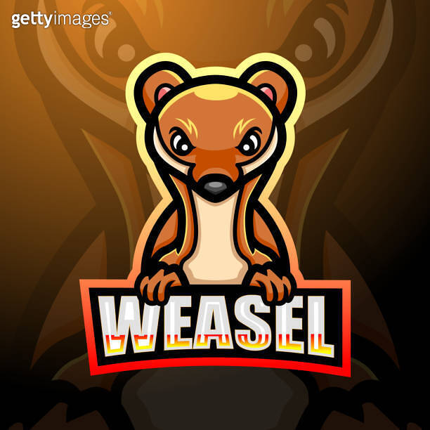 Weasel esport logo mascot design 이미지 (1316272085) - 게티이미지뱅크