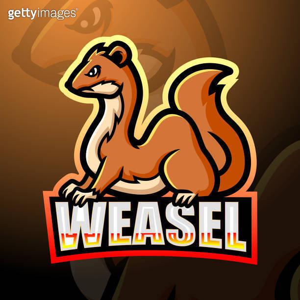 Weasel esport logo mascot design 이미지 (1316272371) - 게티이미지뱅크
