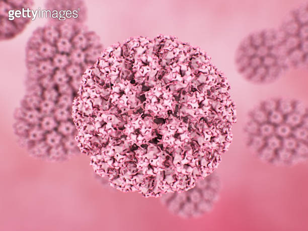 Human Papilloma Type 16 examined by electron cryomicroscopy 이미지 ...