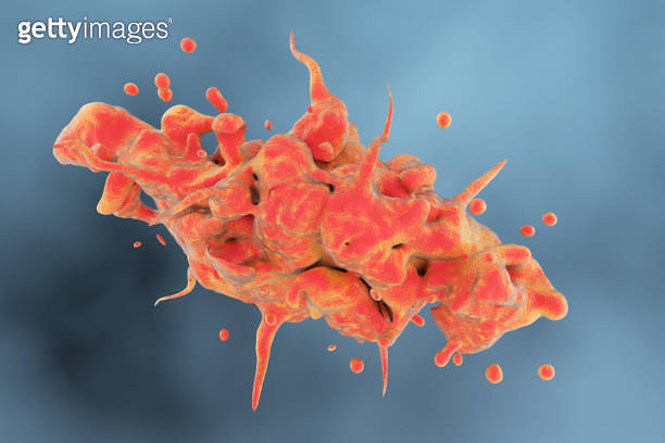 Destroyed Cancer Cell by T-Cell (1320355694) 일러스트, 무료 일러스트 - 게티이미지뱅크