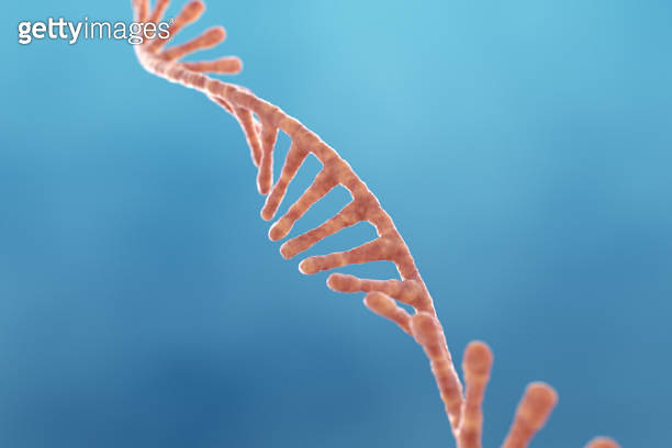 Single strand ribonucleic acid, RNA research 이미지 (1357908551) - 게티이미지뱅크