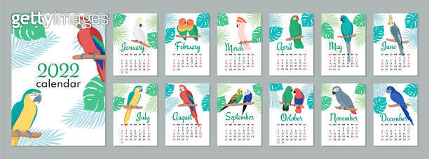 2022 calendar template. Calendar concept design with parrot. Week ...