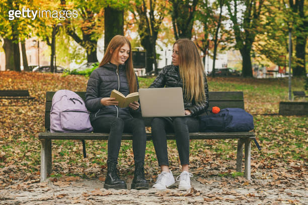 Girls study sitting on a bench in the park in a beautiful autumn ...