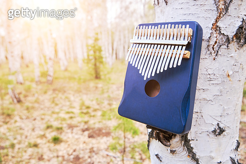Kalimba is an African musical instrument in forest on bright sunny day ...
