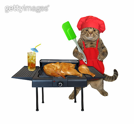 Cat cooks chicken legs on electric grill 이미지 (1350586123) - 게티이미지뱅크