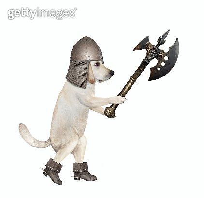 Dog labrador armed with battle axe attacks 이미지 (1330504209) - 게티이미지뱅크