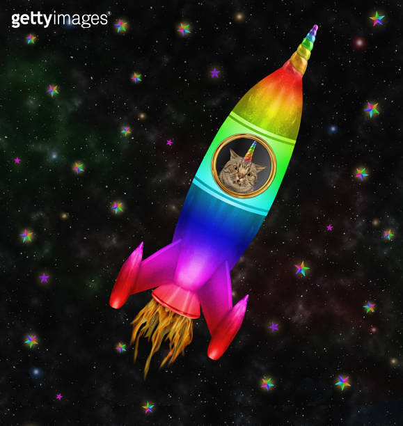 Caticorn flies inside space rocket 이미지 (1357459831) - 게티이미지뱅크