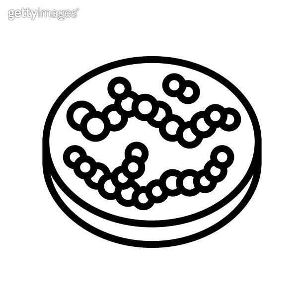 streptococcus bacteria line icon vector illustration (1330846112) 일러스트 ...