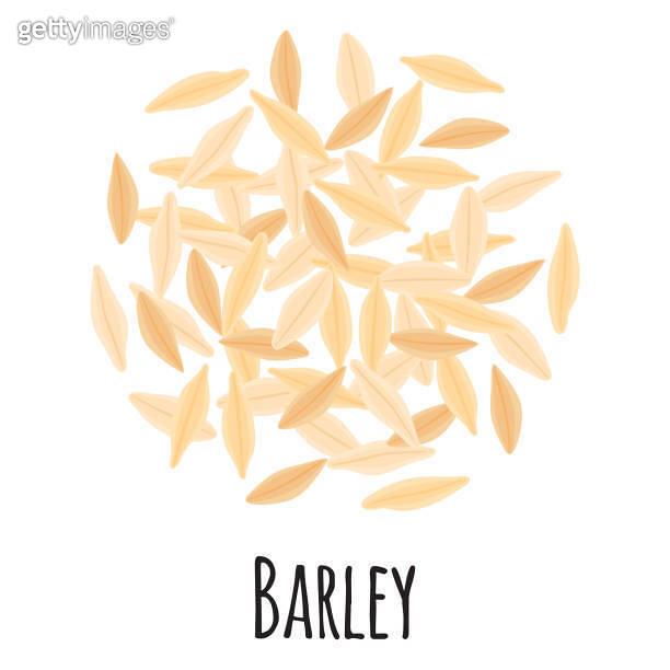Barley for template farmer market design, label and packing. Natural ...