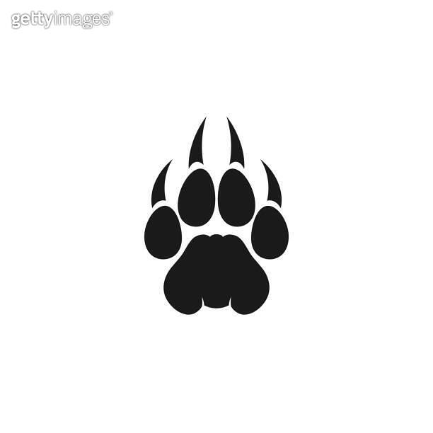 black tiger trace silhouette. Vector flat illustration. Wild beast paw ...
