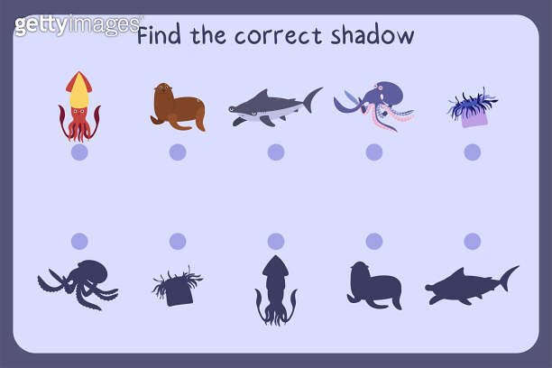 Matching children educational game with sea animals - squid, fur seal ...