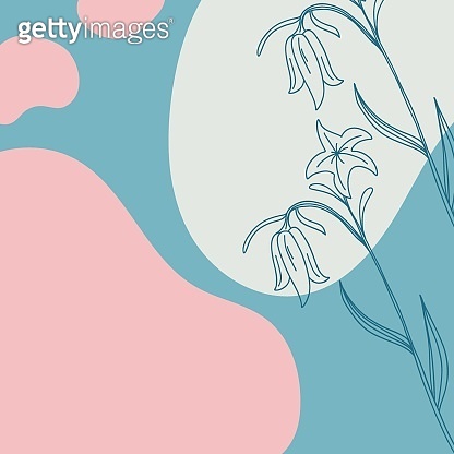 Bellflower minimal background. Hand drawn line wild flower and abstract ...