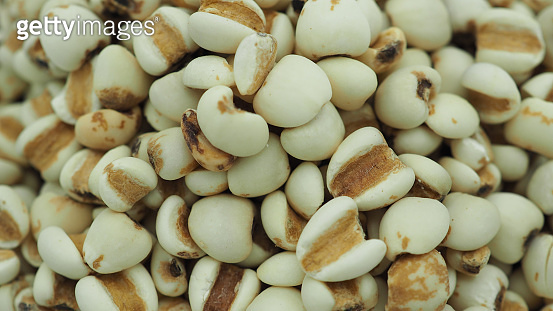 Job's Tears, also known as adlay and coix on white background. Popular ...