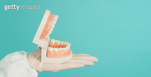 Orthodontic model of teeth in hand that wearing medical glove on green ...