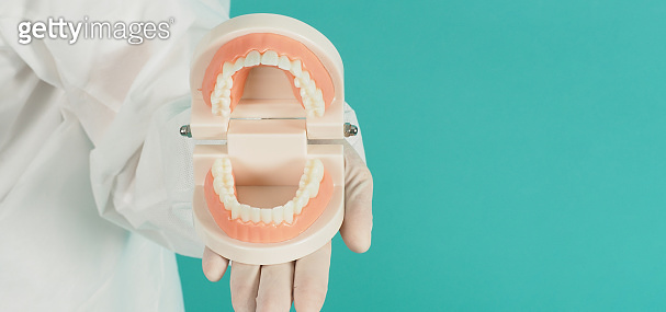 Orthodontic model of teeth in hand that wearing medical glove on green ...
