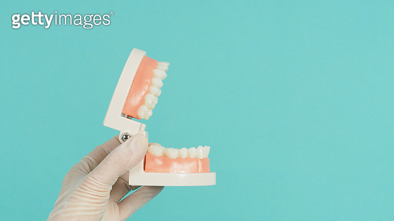 Orthodontic model of teeth in hand that wearing medical glove on green ...