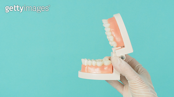 Orthodontic model of teeth in hand that wearing medical glove on green ...