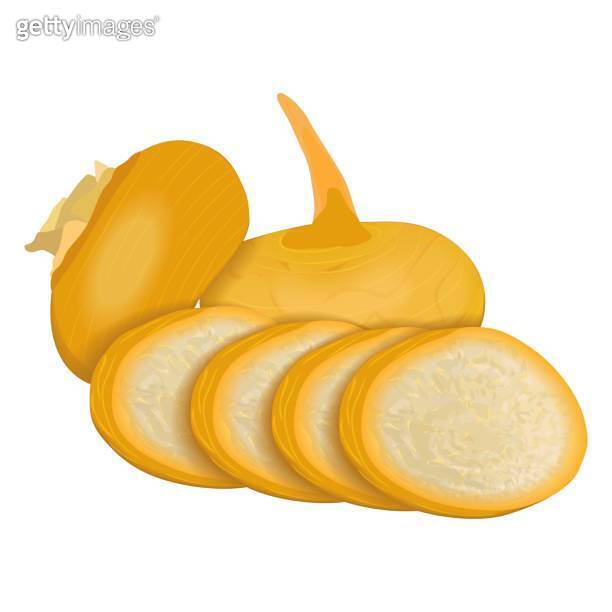 Orange turnip for banners, flyers, posters, cards. Yellow turnips ...